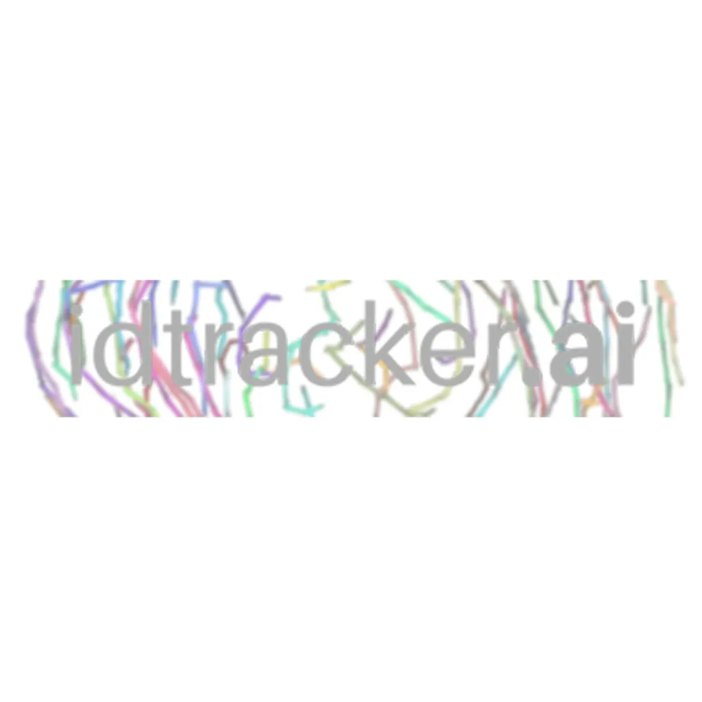 Idtracker.ai | Aivero